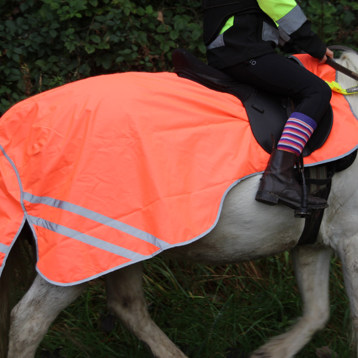 Hi Viz Wrap Around Exercise Sheet – CAMEO