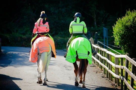 Hi Viz Wrap Around Exercise Sheet – CAMEO